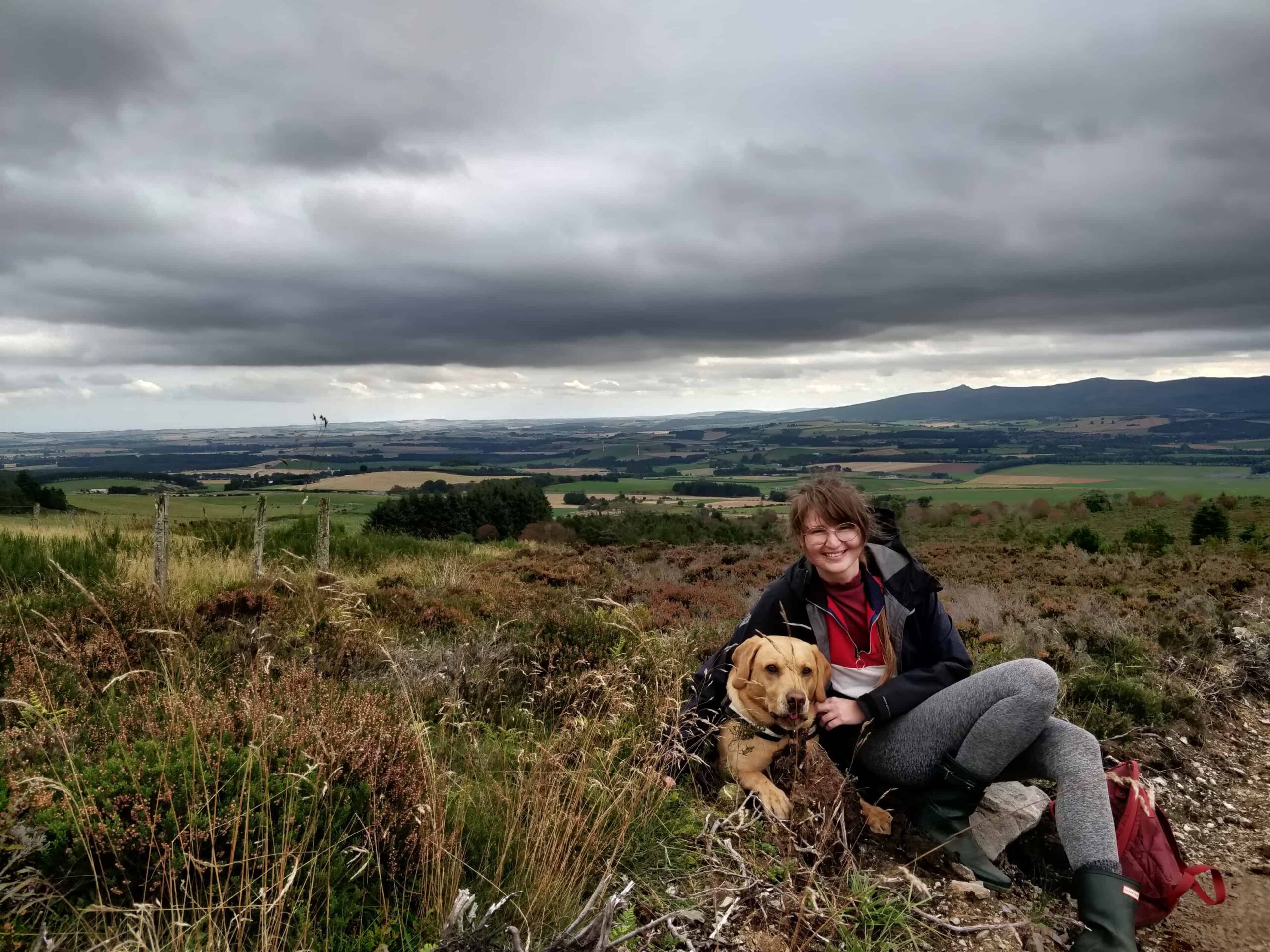 Where We Pick Our Moss - Highland Moss