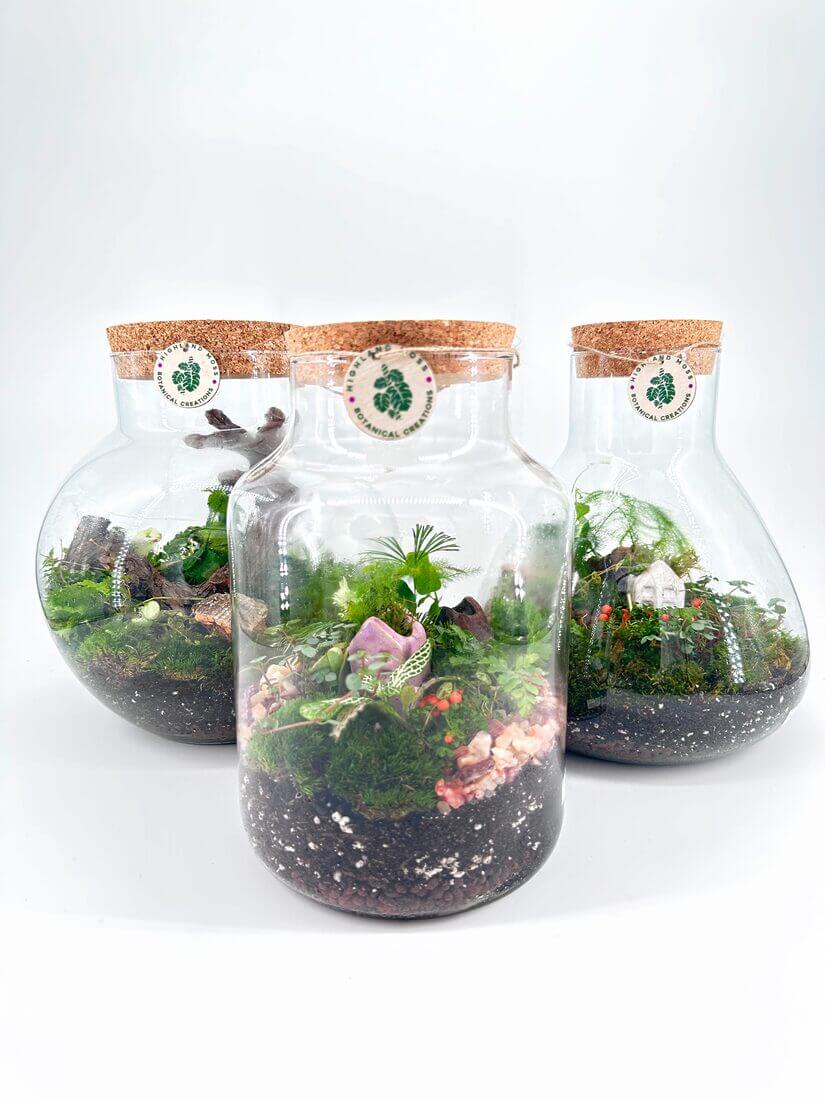 Terrarium DIY Kit Builder – Create Your Own Mini Ecosystem - Highland Moss Terrarium DIY Kit Builder – Create Your Own Mini Ecosystem - Highland Moss